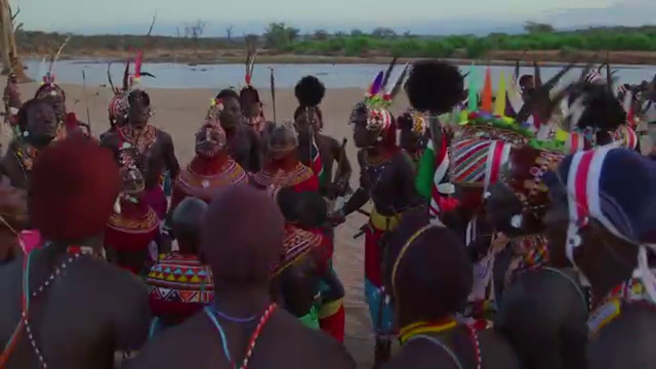 Safari Collection Christmas - YouTube