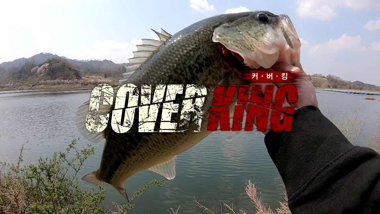 커버킹 4번째 이야기 봄에는 역시 쉘로우/KOREA BASS FISHING COVER KING EPISODE 4 - YouTube