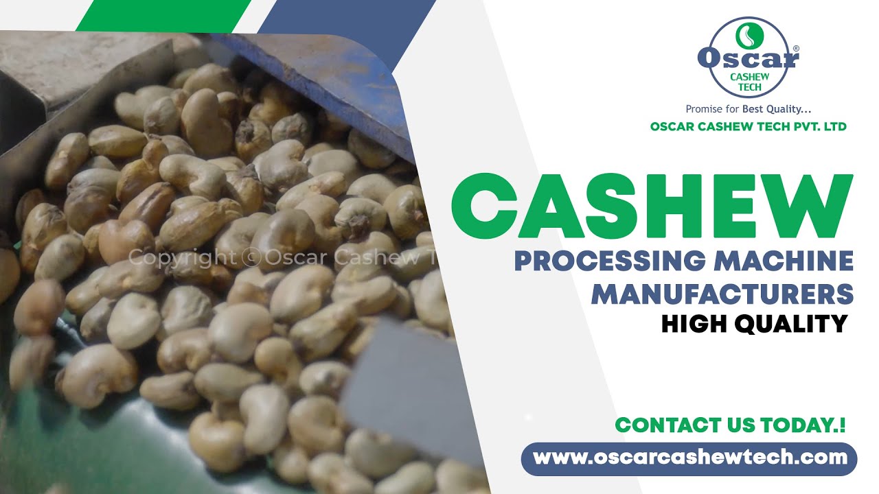 Cashew Processing Plant, Cashew Processing Machine Manufacturers at ...