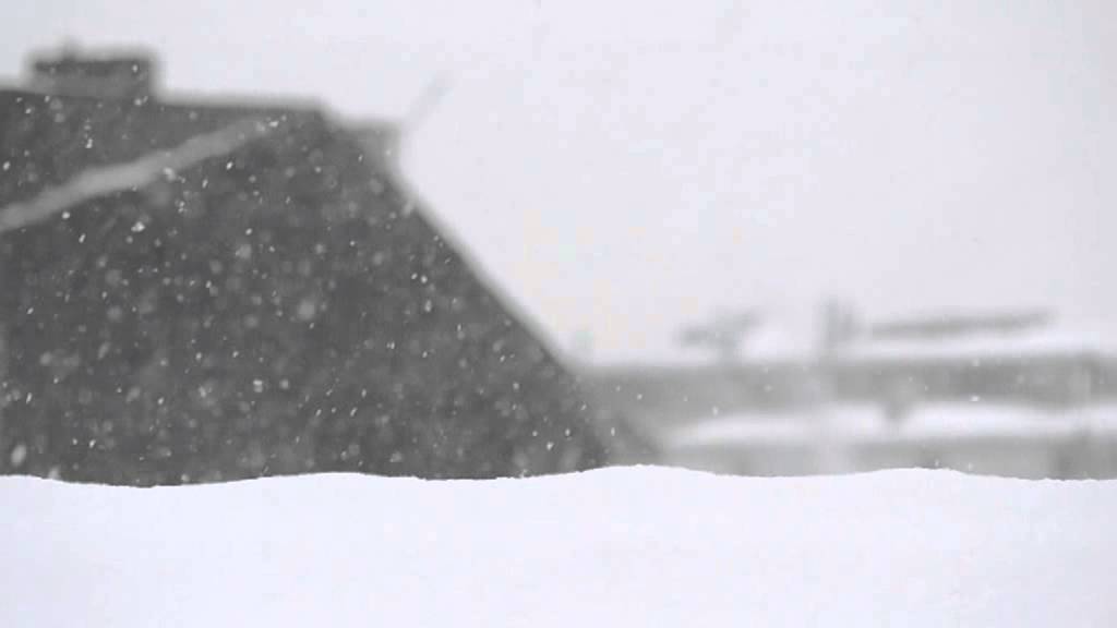 The Decalogue VIII (Dekalog 8) - Zbigniew Preisner (Soundtrack) - YouTube