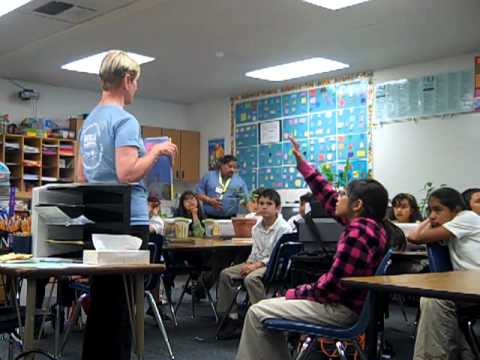 Defining vocabulary words: "What does it mean to be a stray?" - YouTube