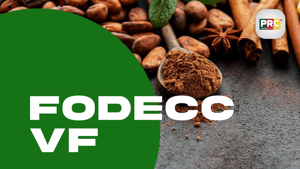 FODECC : Le guichet producteur du Fodecc, moteur de la révolution des ...