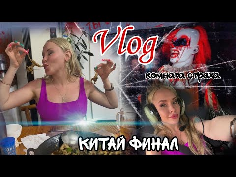 VLOG LOLA TAYLOR ❌❌❌Китайские фестивали, поела лягушек, жуткая комната страха . Шанхай