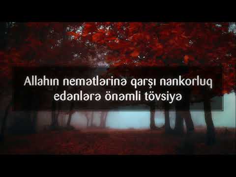 Allahın nemətlərinə qarşı nankorluq edənlərə önəmli tövsiyə || Veysəl Orucov [Veysel Orucov]