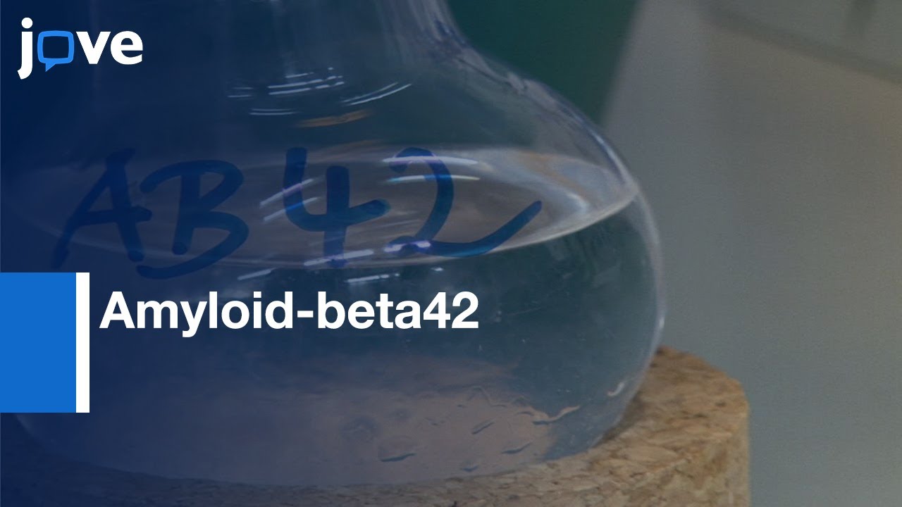 Amyloid-beta42 Toxicity and Neurodegeneration Modeling | Protocol ...