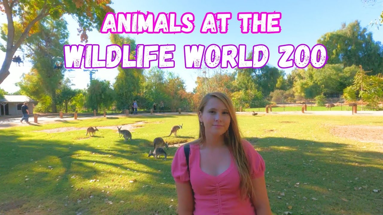 Animals at the Wildlife World Zoo, Aquarium, and Safari Park in ...