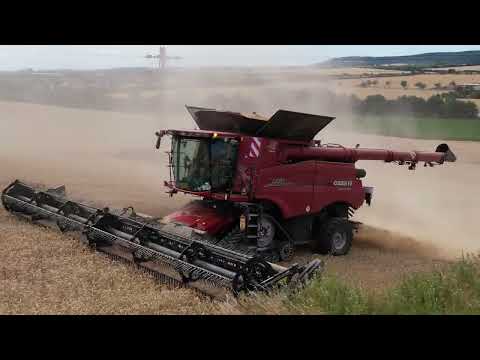 Harvest 2022 |wheat| / CASE IH 9250 Axial-Flow / MacDon flexdraper FD140 / Rostěnice, a.s.