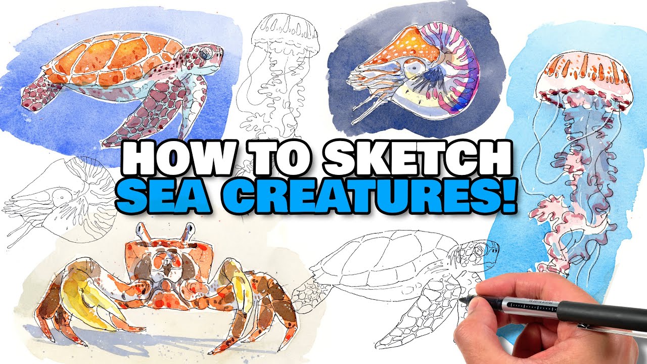 How To Sketch ANYTHING! | Sea Creatures Loose Ink & Watercolor - YouTube
