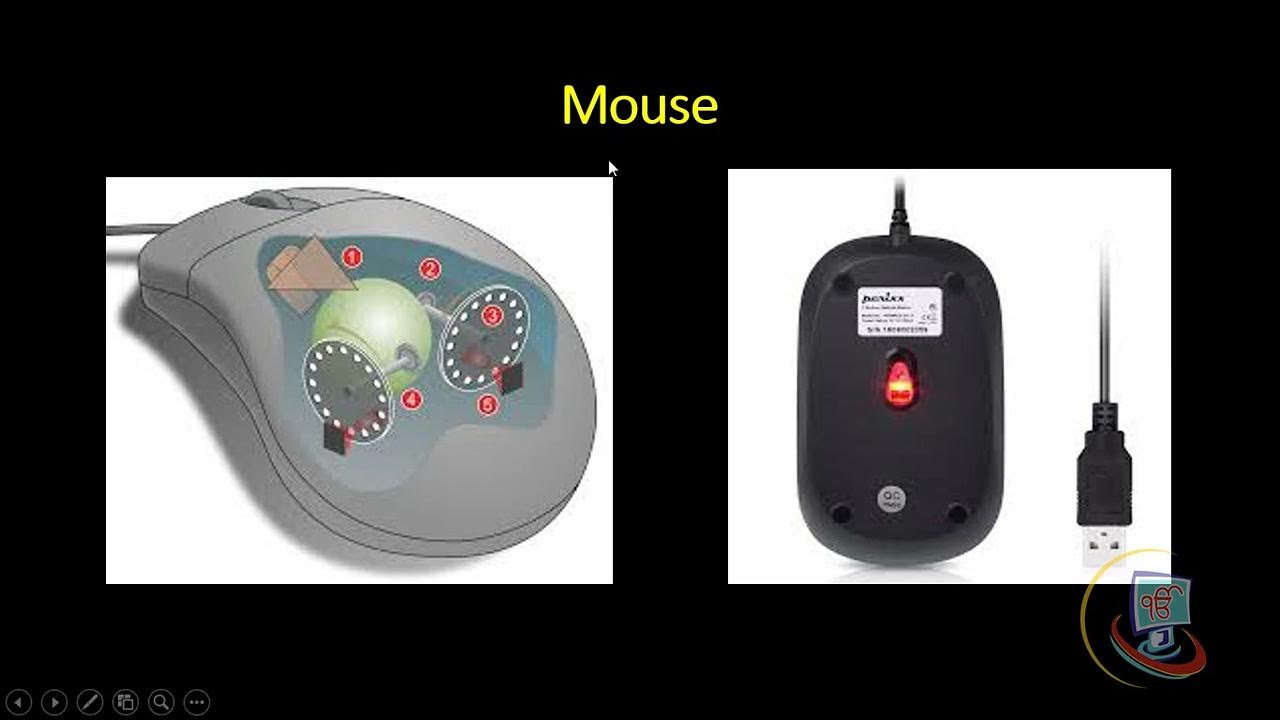 Input & Output Devices in Marathi. - YouTube