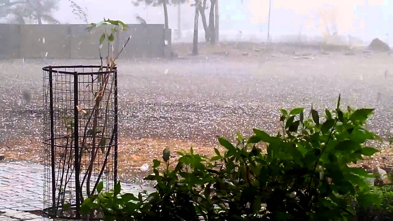 garancha paus ,pune,new sangavi-by Nitin Gavali - YouTube