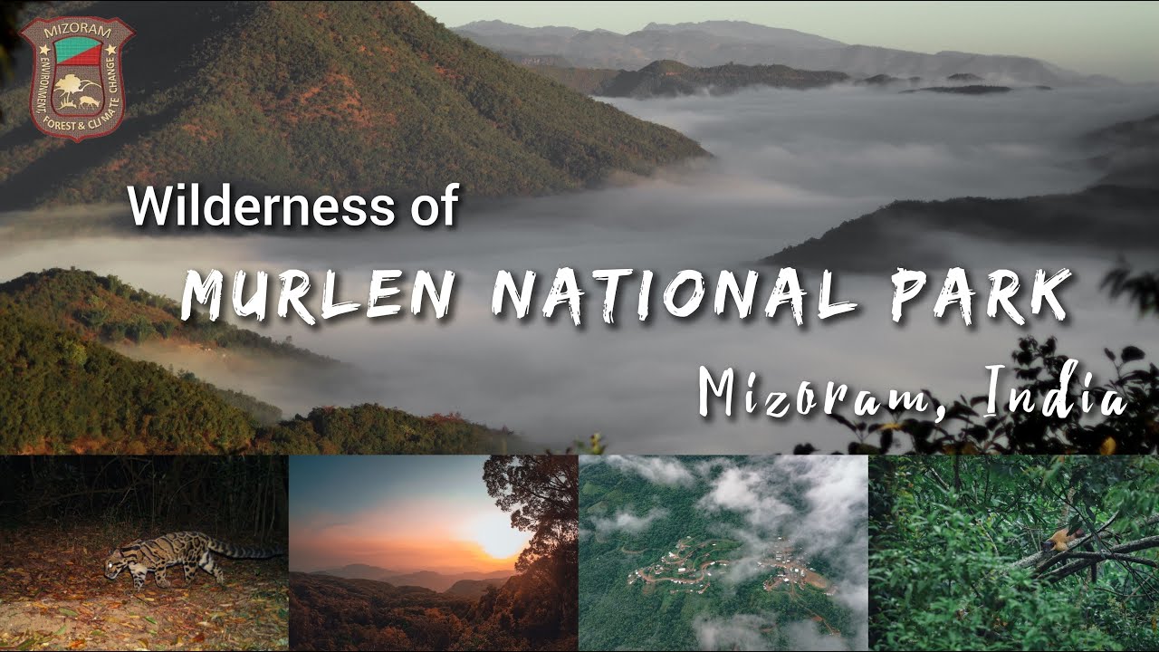 Murlen National Park, the untold and untouched beauty of Mizoram, India ...