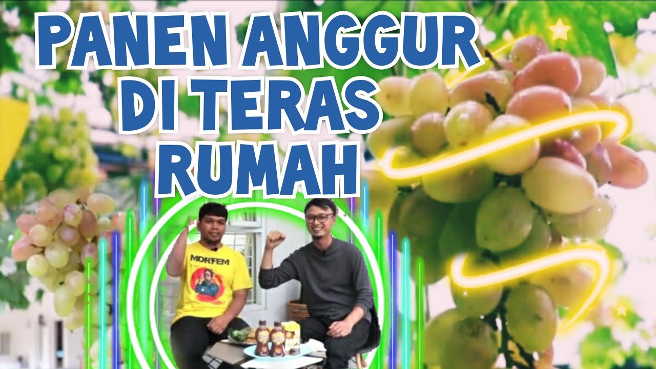 ANGGUR TRANSFIGURATION - YouTube