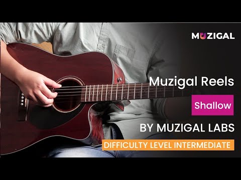 Muzigal Labs - Shallow Guitar Cover