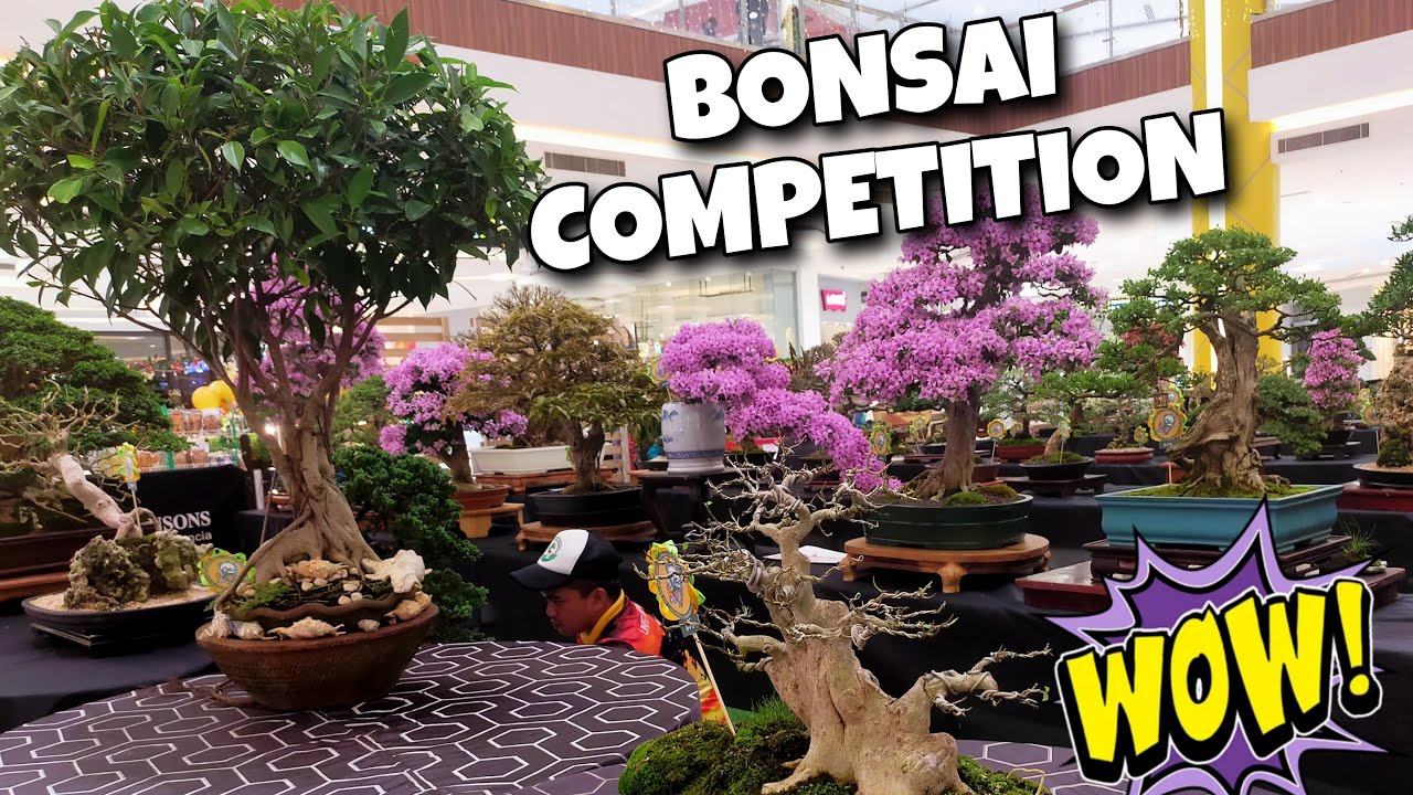 BONSAI COMPETITION | KAKAIBANG MGA BONSAI 2023 - YouTube