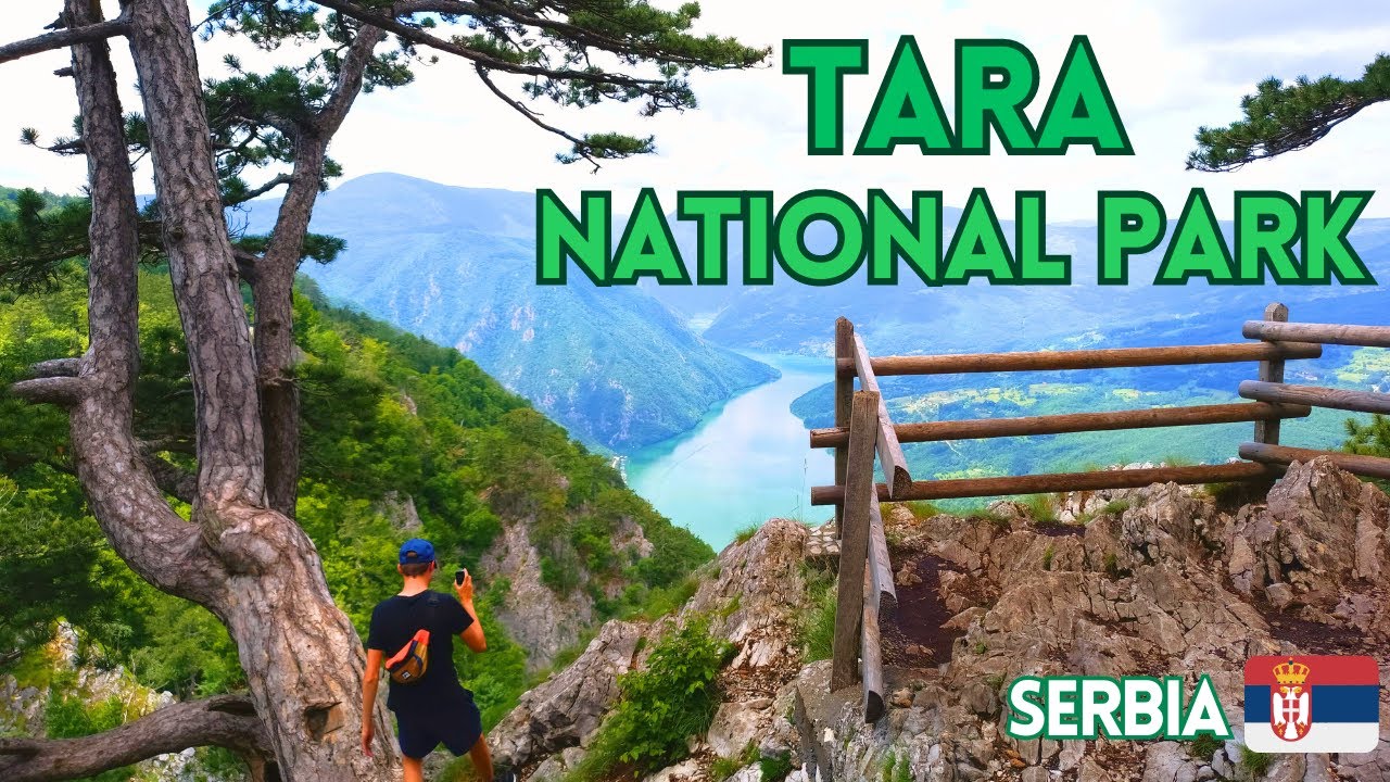 Tara National Park, Serbia, TOUR 4K, Park Narodowy Tara, Banjska Stena ...