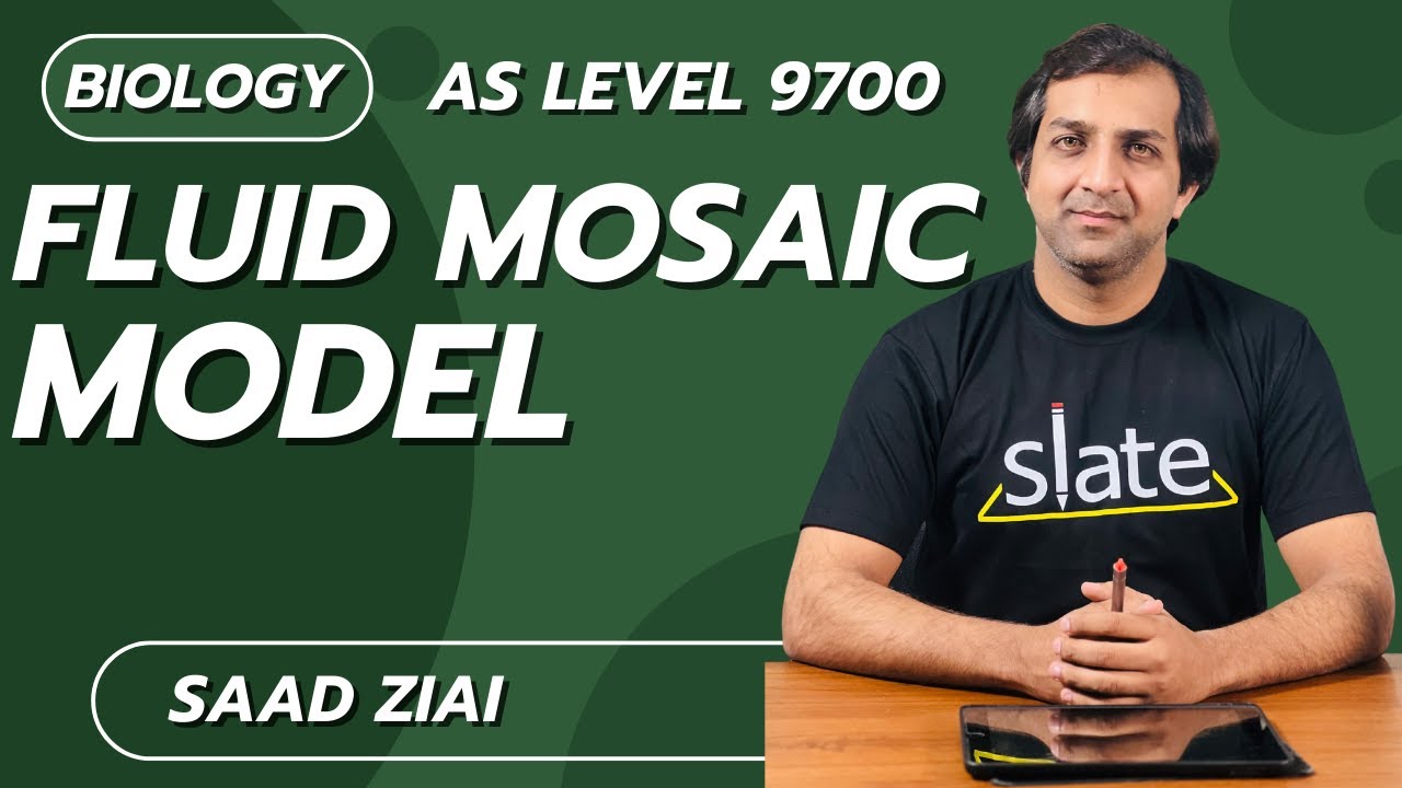 Fluid Mosaic Model | AS Level | Biology | Saad Ziai | SLATE - YouTube