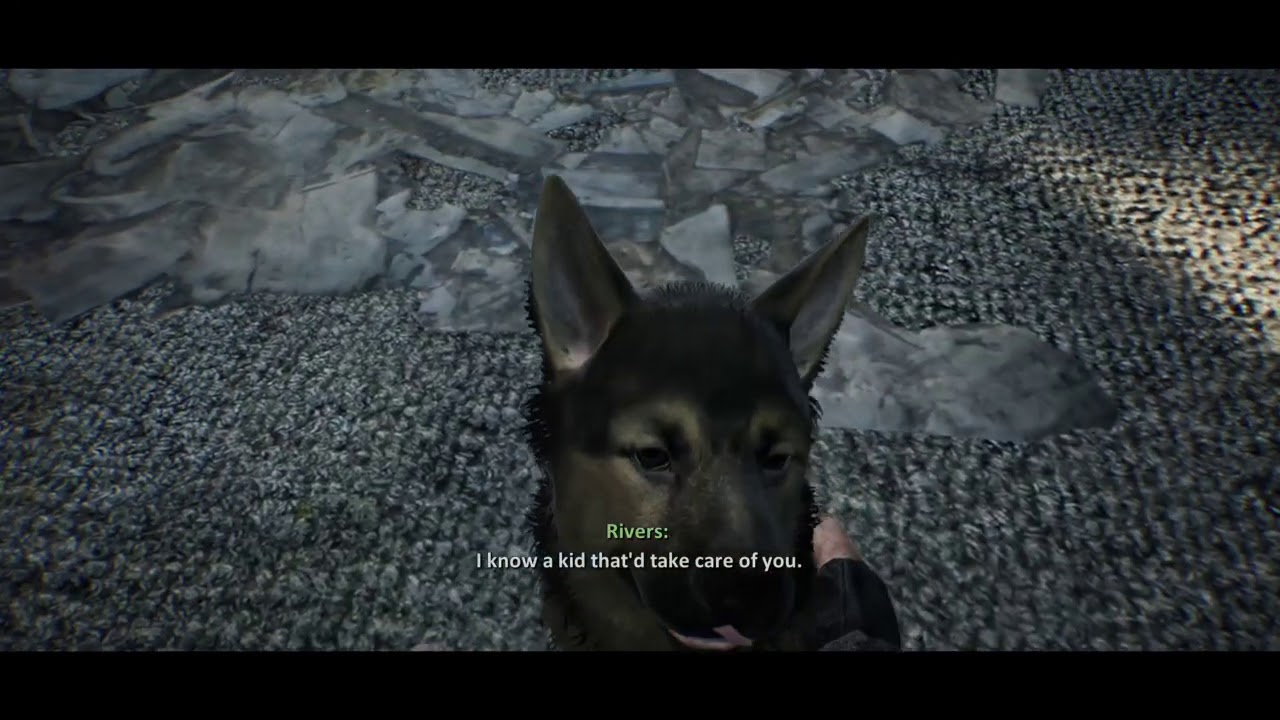 Terminator: Resistance dog - YouTube