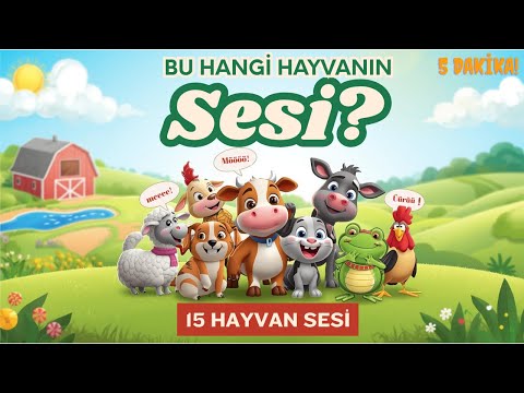 Bu Hangi Hayvanın Sesi? 15 HAYVAN SESİ - Hayvan Sesleri Tahmin Etme | 0-6 Yaş Eğitici Şarkı