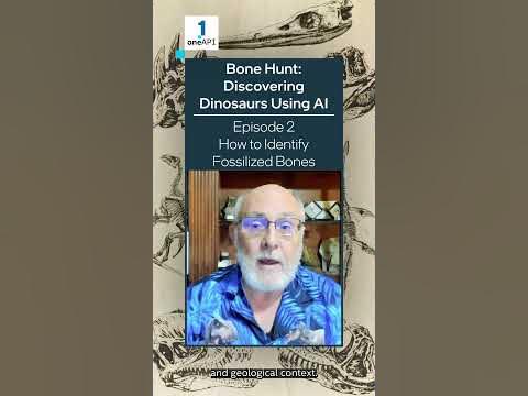 How to Identify Fossilized Bones | Bone Hunt: Discovering Dinosaurs ...