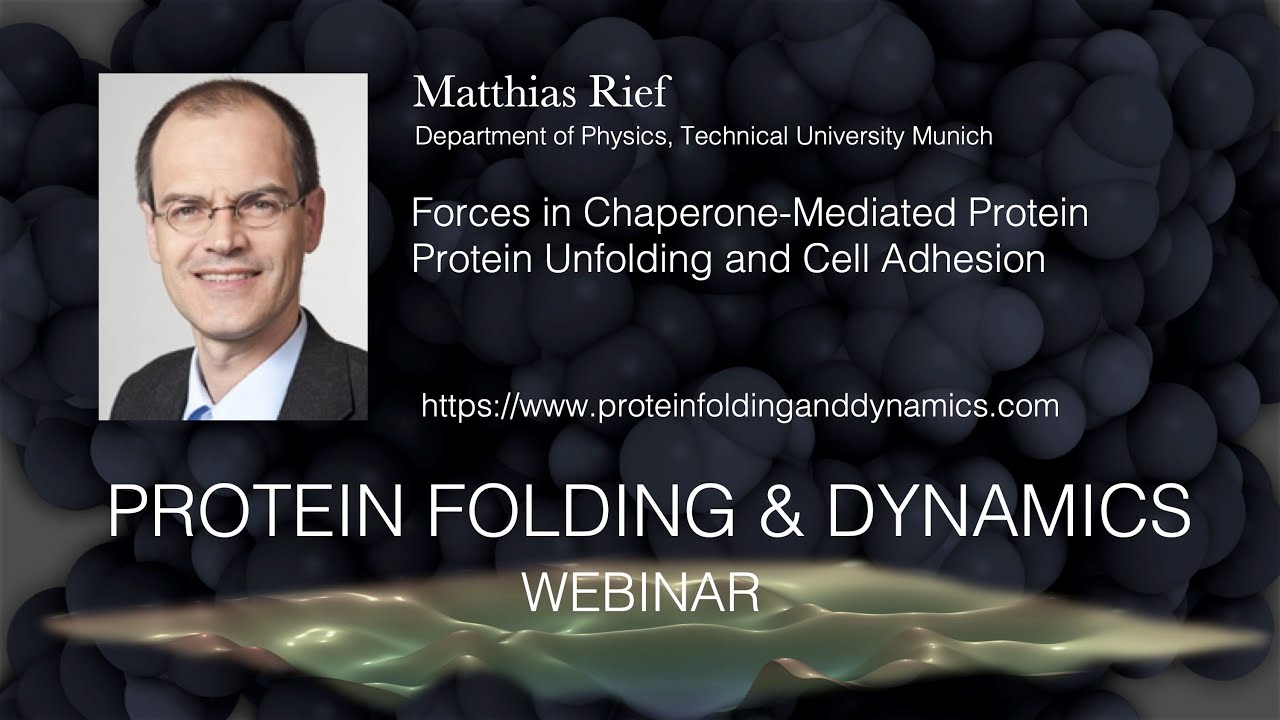 Matthias Rief, 21.9.20- Forces in Chapeone-Mediated Protein Unfolding ...