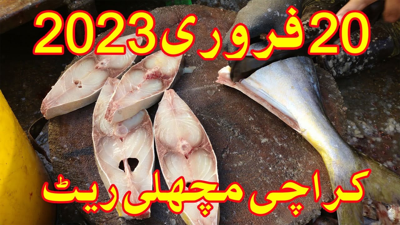 Karachi Fish Price Update || 20 February 2023 || Karachi Fish Rate ...