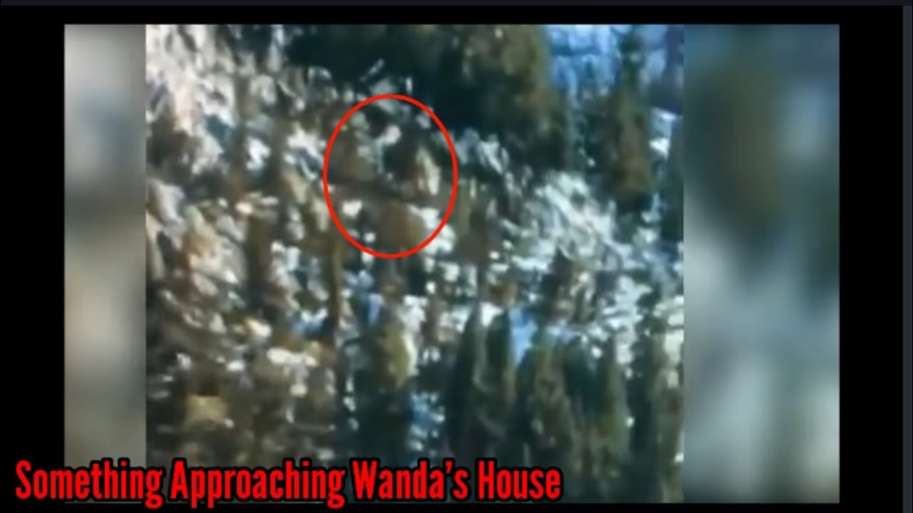 Wanda-Vision Updated End Credits Scenes "Whats New" - YouTube
