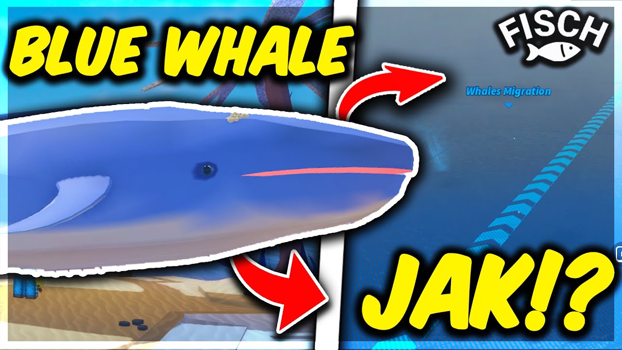 NAJLEPSZA METODA NA ŁOWIENIE MOBÓW i BLUE WHALE w NOWYM UPDATE w Fisch ...