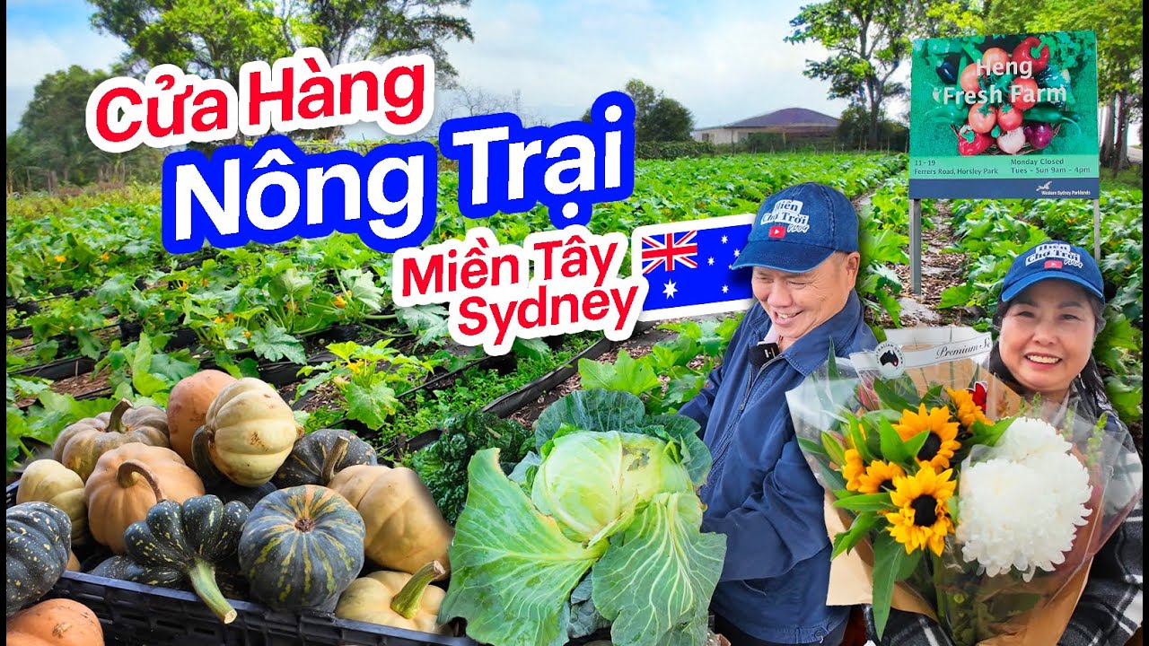 Đi Các Cửa Hàng Nông Trại ở Miền Tây Sydney Úc 🇦🇺 | Bán Rau Củ Quả Trái ...