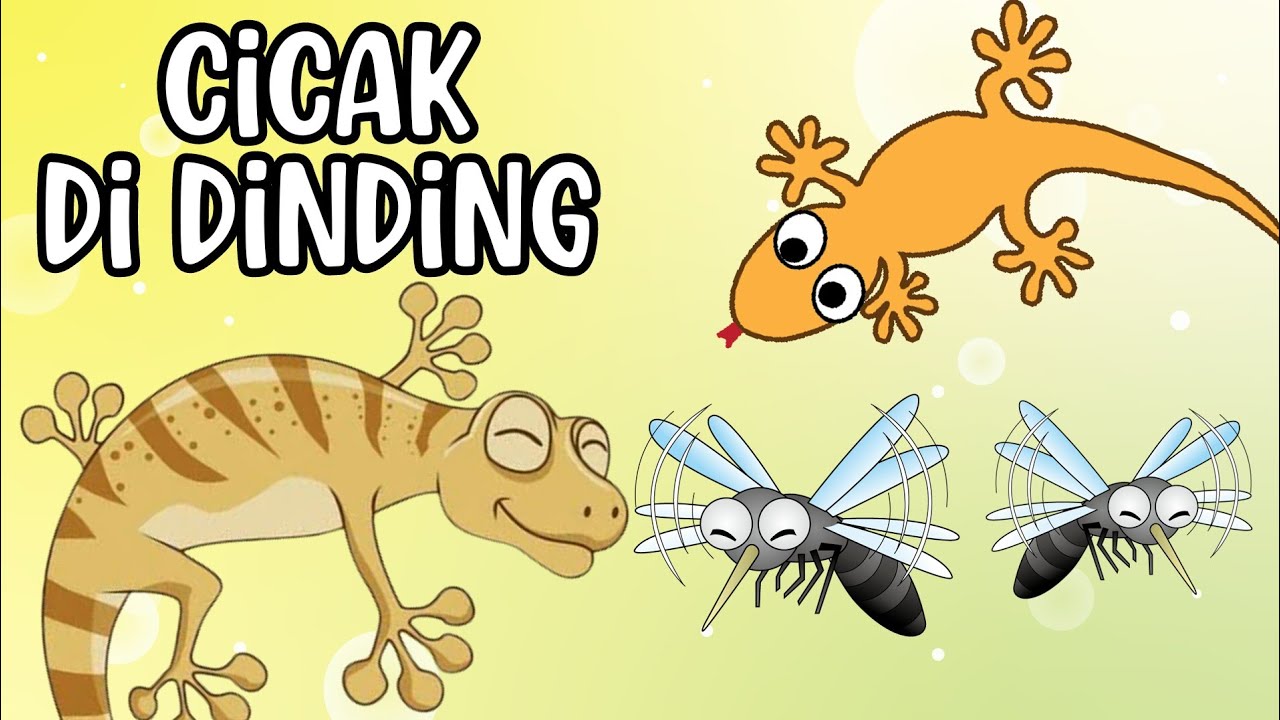 LAGU ANAK CICAK DI DINDING🦎🦎💫LAGU ANAK INDONESIA ️🦎 LAGU ANAK ...