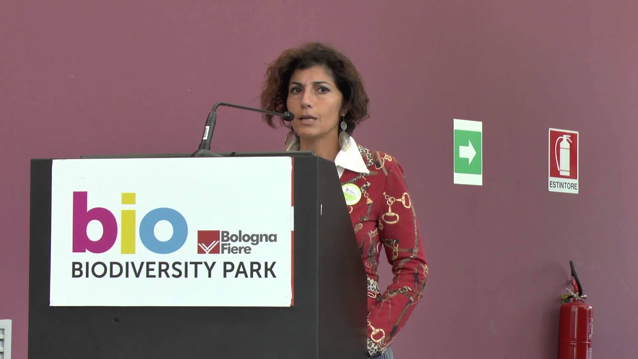 5 Lina Al Bitar EXPO 2015 29 9 2015 - YouTube