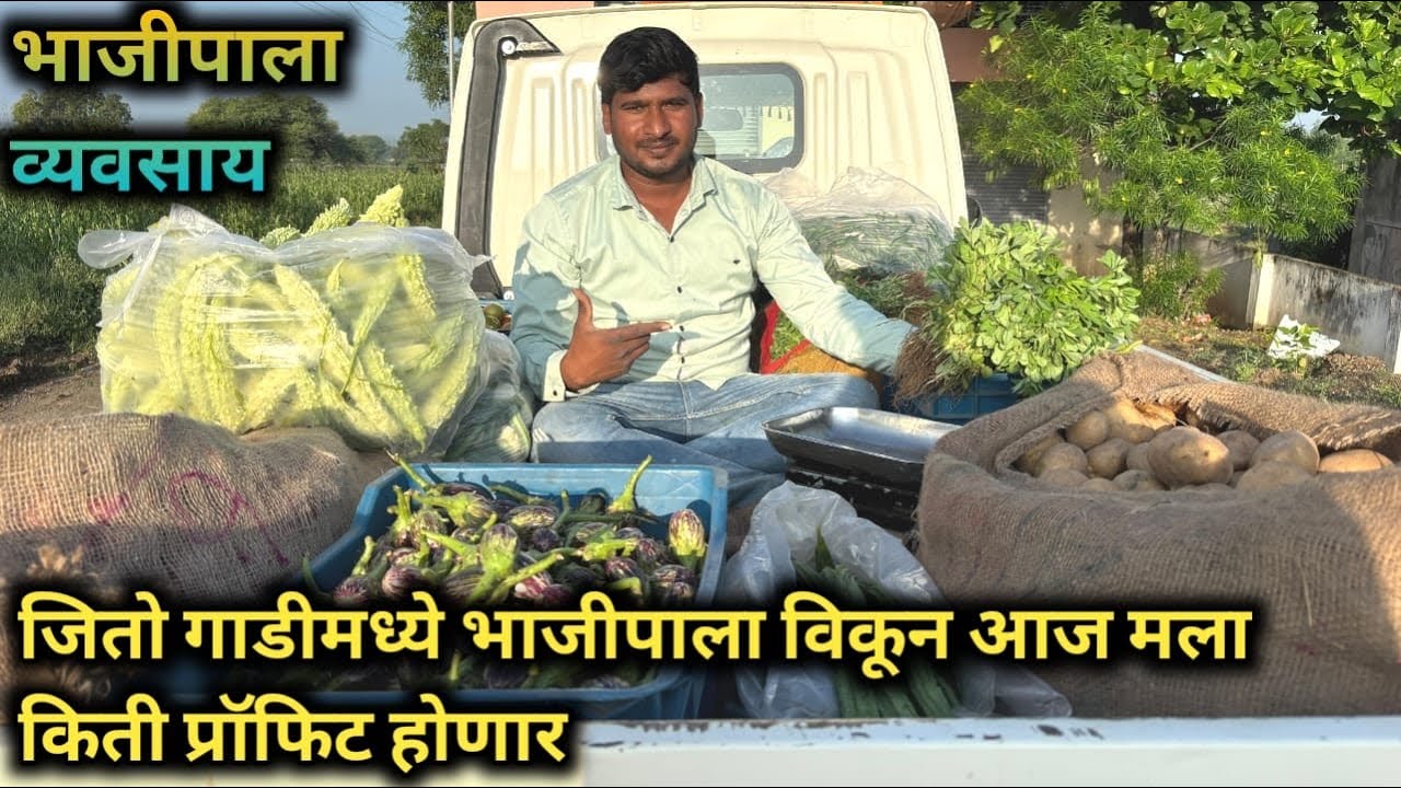 भाजीपला व्यवसाय जीतो गाडी मदे ॥ आज मला भाजीपला विकून किती नफा होणार # ...