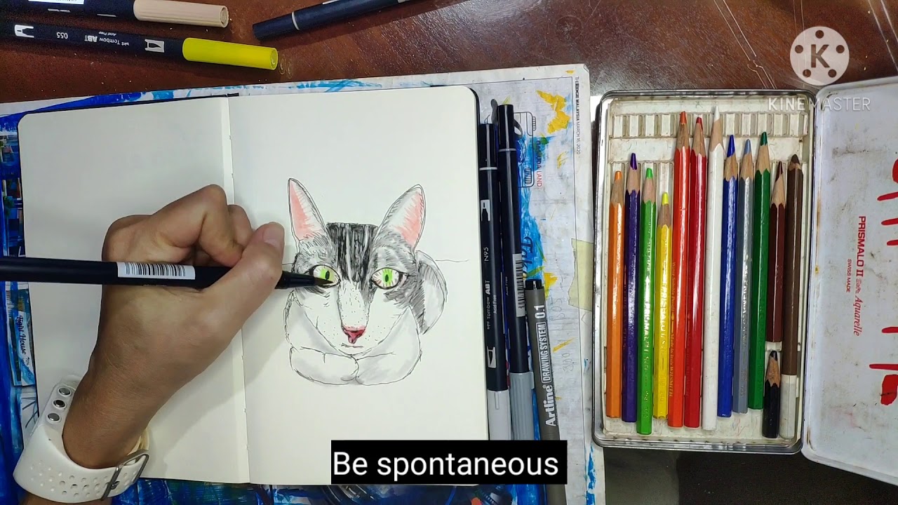 How to draw a cat with marker pens and colour pencil - YouTube
