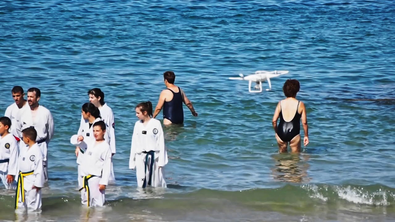 Drone CRASH seagull accident - YouTube