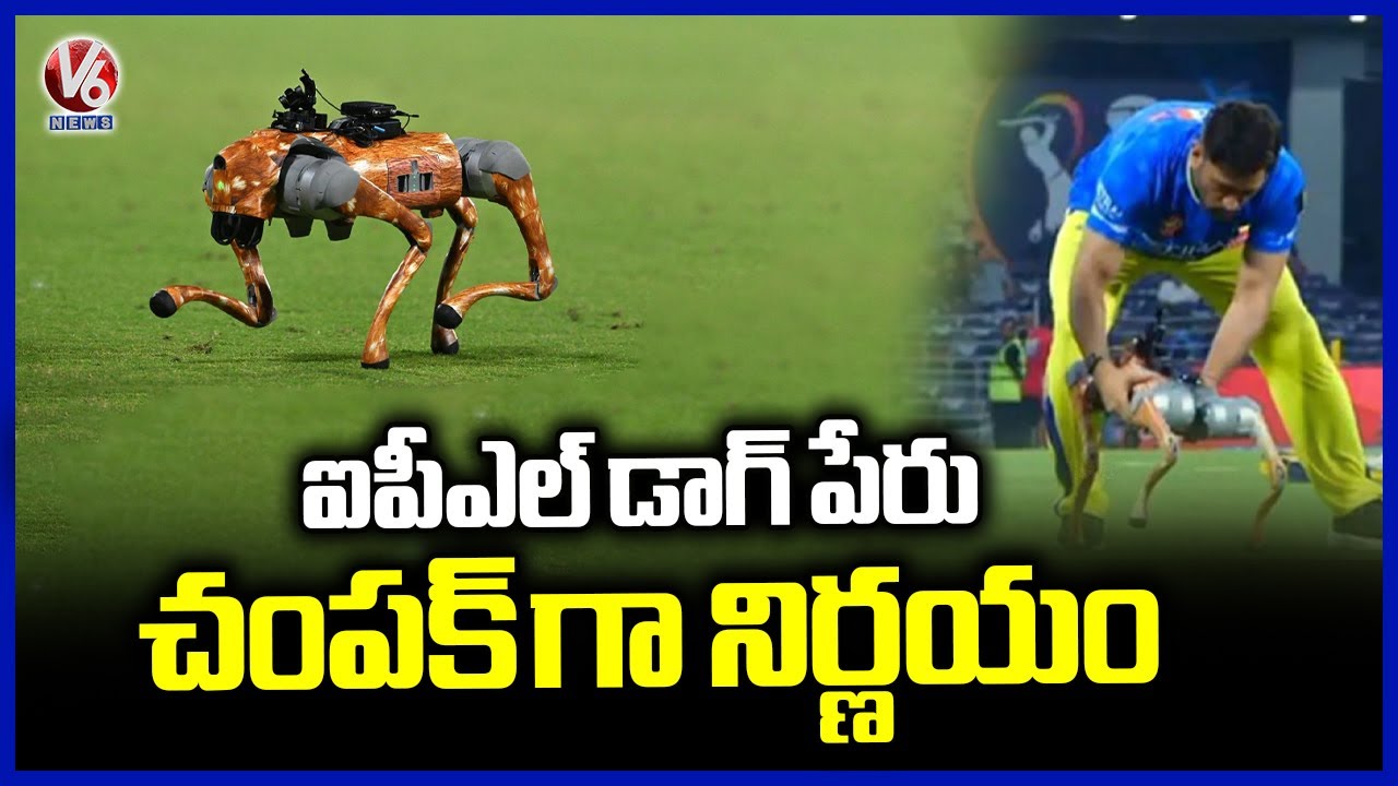 IPL 2025 Robotic Dog Named Champak Sparks Buzz | V6 News - YouTube