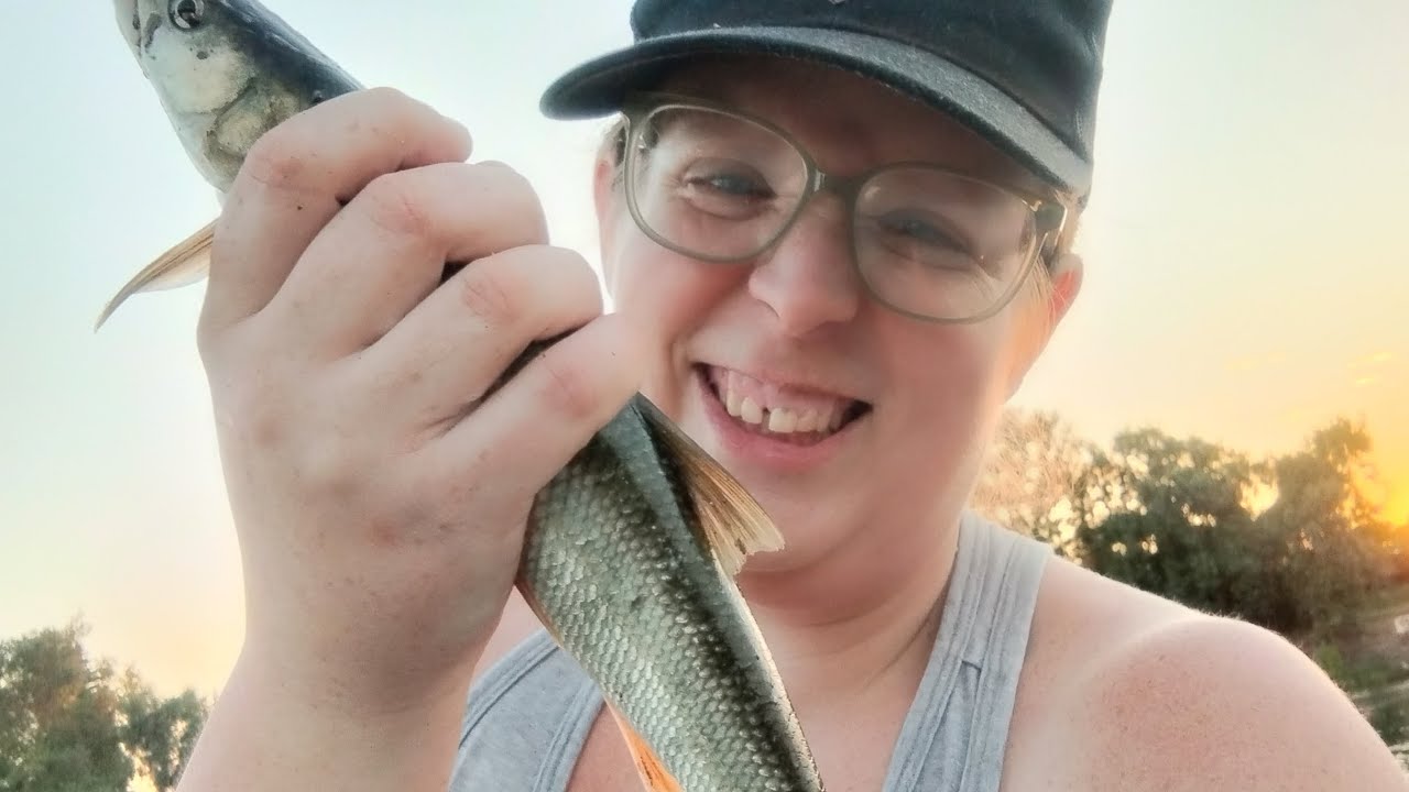 how to prepare a squawfish - YouTube