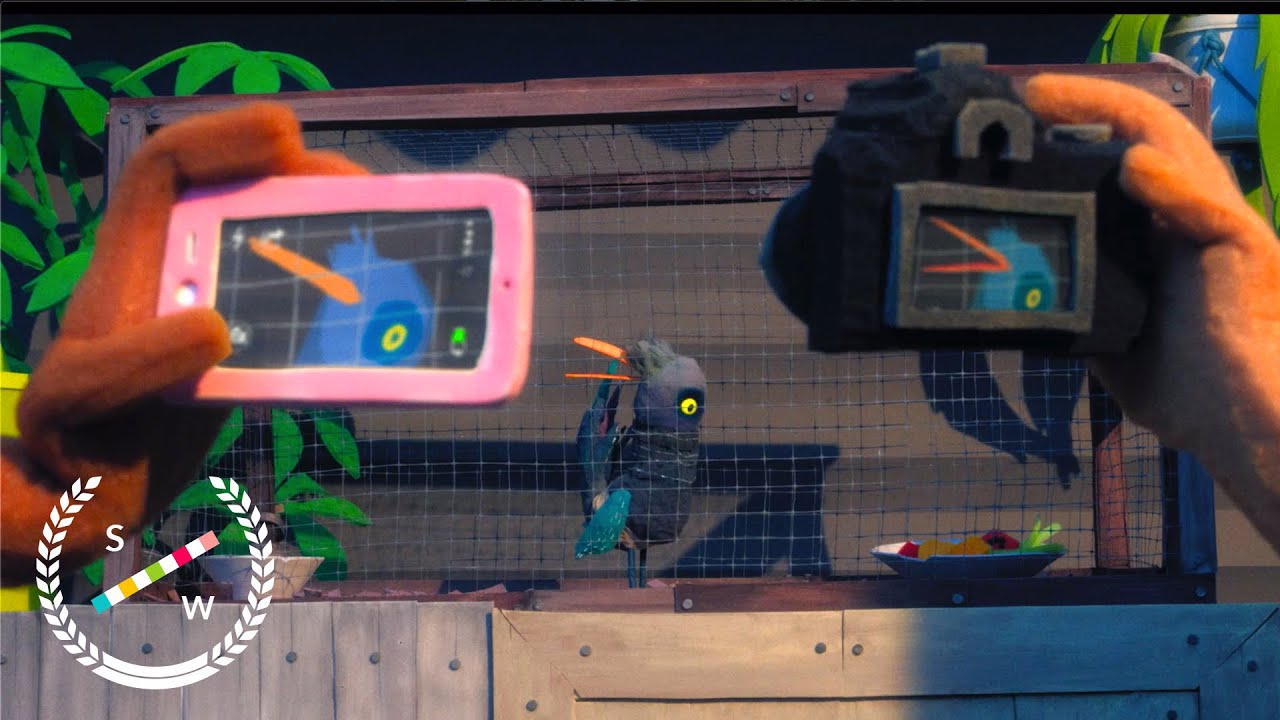 Birdlime | Award-winning Stop-Motion Animation | Short of the Week ...