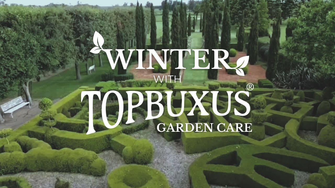 Winter with Topbuxus - YouTube
