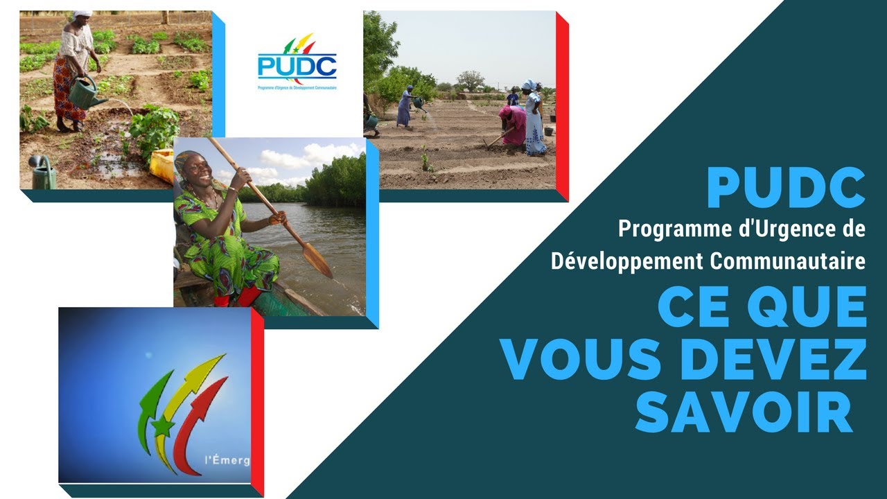 Ce que vous devez savoir sur le PUDC Sénégal - YouTube