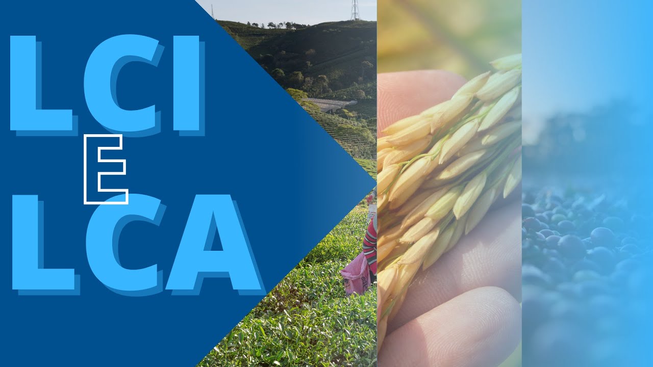 O QUE SÃO LCIS E LCAS? - YouTube