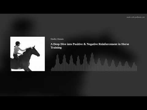 A Deep Dive into Positive & Negative Reinforcement in Horse Training