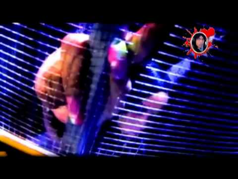 beenie man back it up 2 - YouTube
