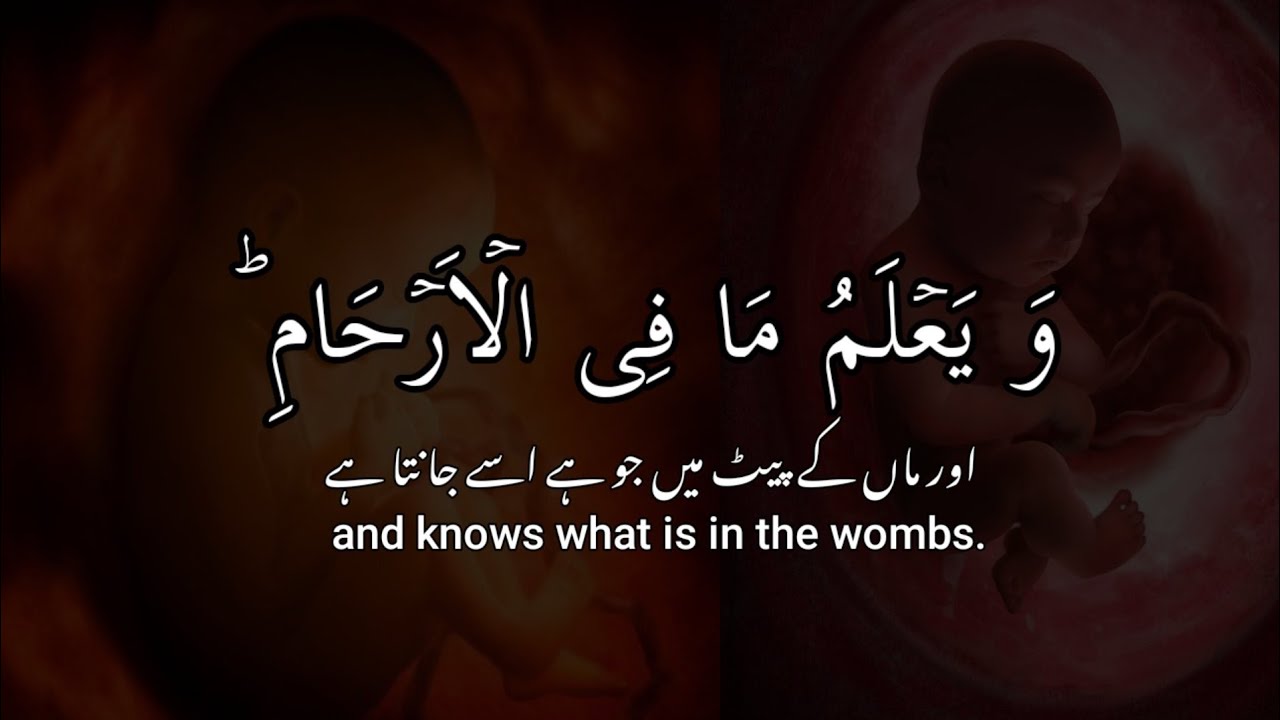 Surah Luqman Ayat No 34 || Heart Melting Quran Recitation With ...