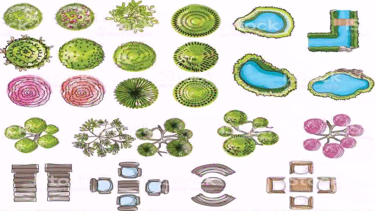 Landscape Design Symbols For Trees Shrubs - YouTube
