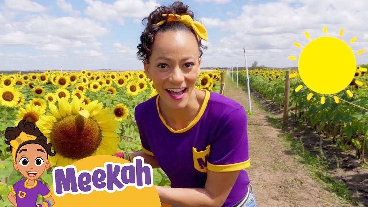Meekah Goes to Southern Hill Farms | Kids Cartoon Show | Toddler Songs ...