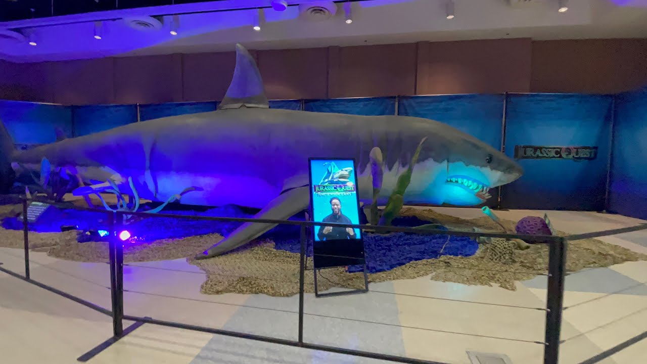 Shark Week: Megalodon at Jurassic Quest - YouTube