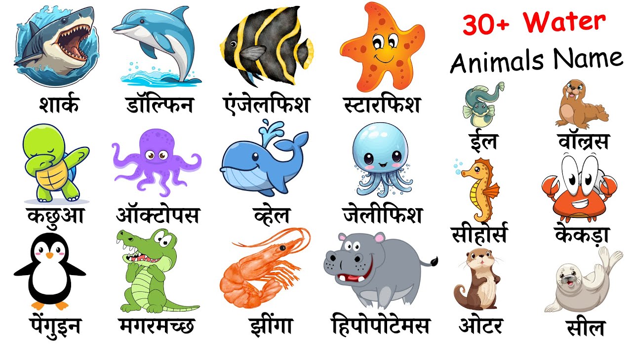 Water Animals Name, Water Animals Name Vocabulary, name of water ...