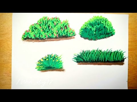 CARA MENGGAMBAR MACAM MACAM RUMPUT PAKAI OILPASTEL | OILPASTEL DRAWING ...