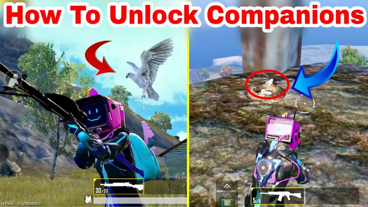 How to Unlock Companions in PUBG Mobile || Pubg mobile Update 0.12.5 ...