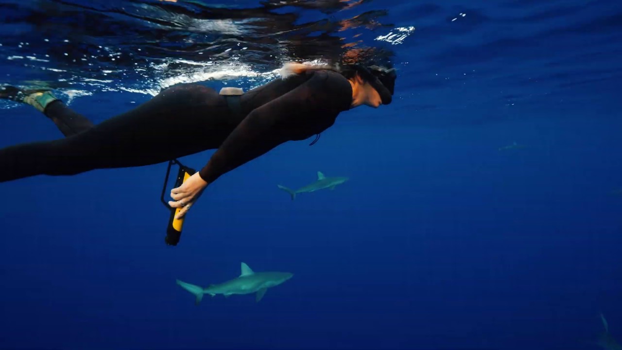 Electric Beach Sharks at John Tabarez blog