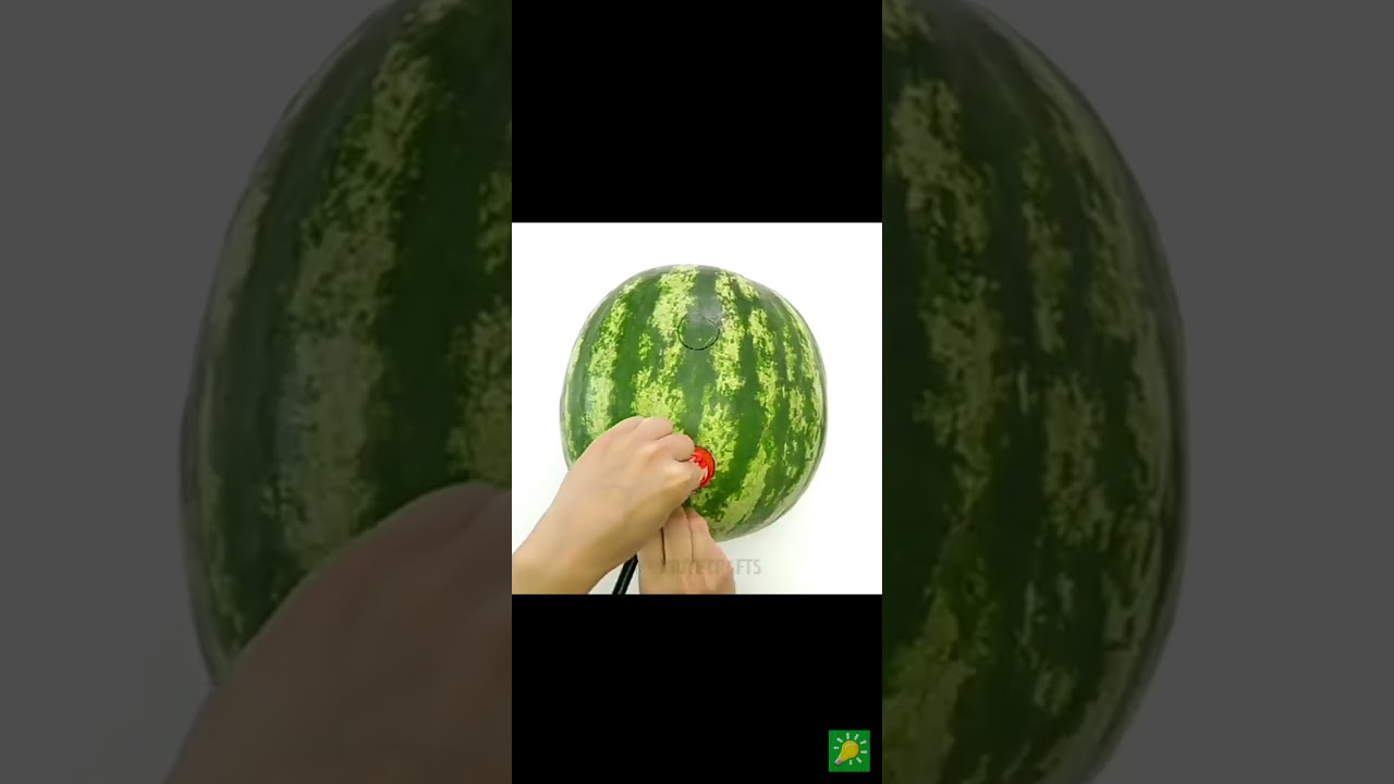 This Is The Small 5 Minutes Craft Video YouTube This Is The Small 5 Minutes Craft Video YouTube